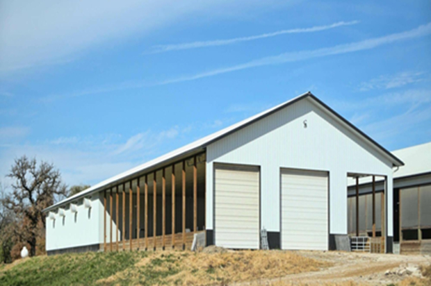 Low Price Steel Structure Sheep Farm Building